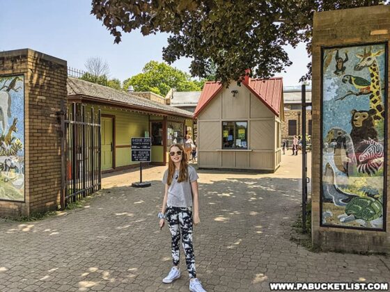 Exploring the Erie Zoo and Botanical Gardens