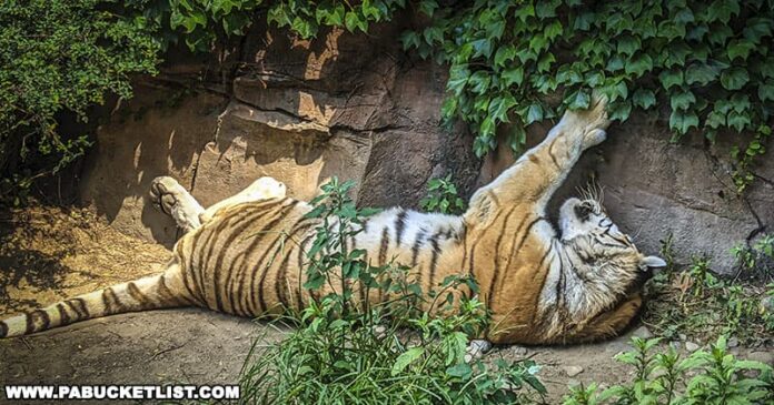 Exploring the Erie Zoo and Botanical Gardens