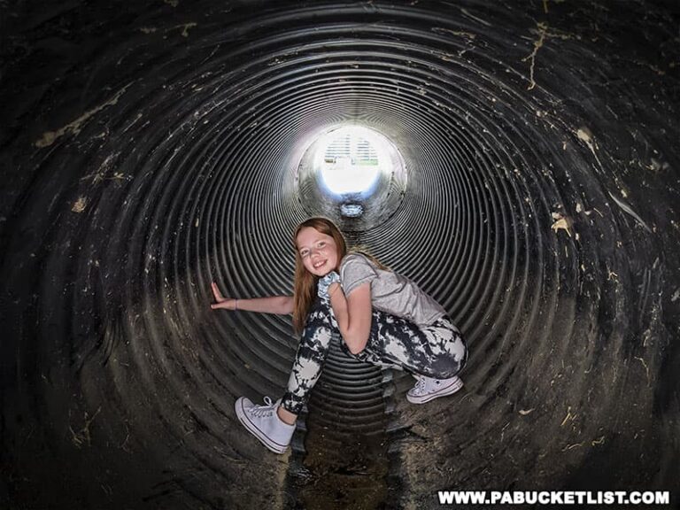 Exploring the Tom Ridge Environmental Center at Presque Isle State Park