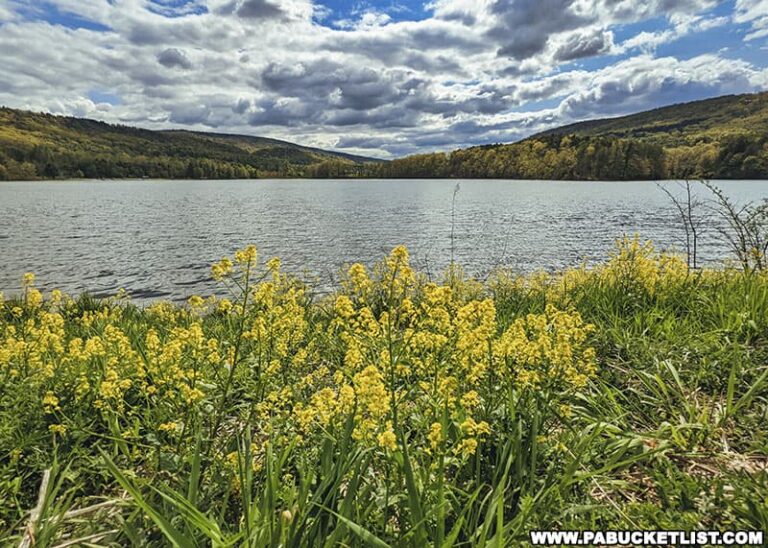 Hiking Hobie's Trail at Colyer Lake Near State College