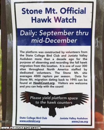 Exploring the Stone Mountain Hawk Watch in Mifflin County