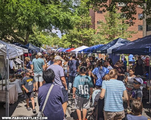 Attending the 2025 Arts Fest in State College