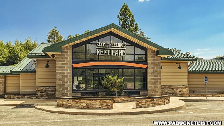 Exploring Clyde Peeling's Reptiland in Union County