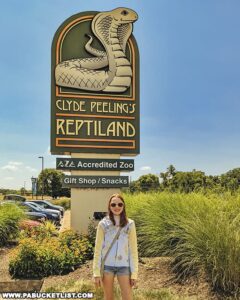 Exploring Montgomery Pike Scenic Overlook in Lycoming County