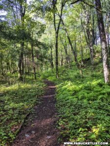 Exploring the Ghost Town of Scotia Near State College