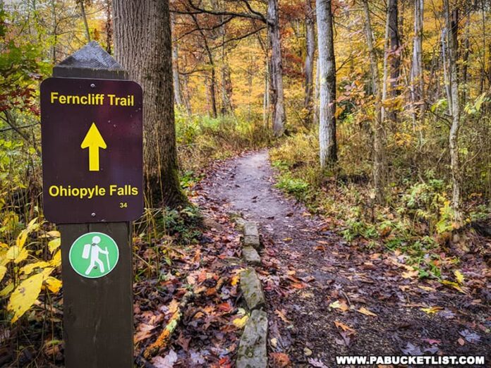 Hiking the Ferncliff Trail at Ohiopyle State Park