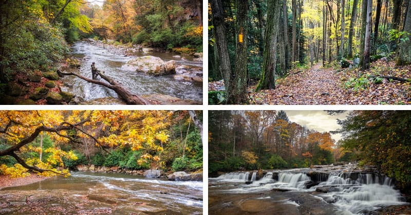 Hiking the Meadow Run Trail at Ohiopyle State Park