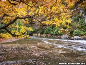 Hiking the Meadow Run Trail at Ohiopyle State Park