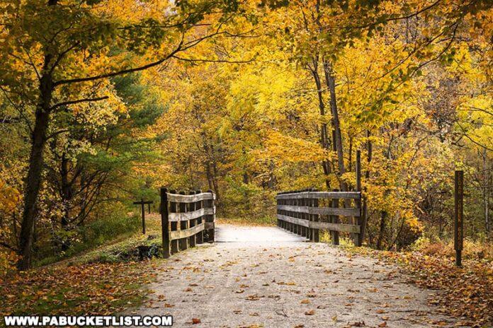 Hiking the Cedar Creek Gorge Trail in Westmoreland County