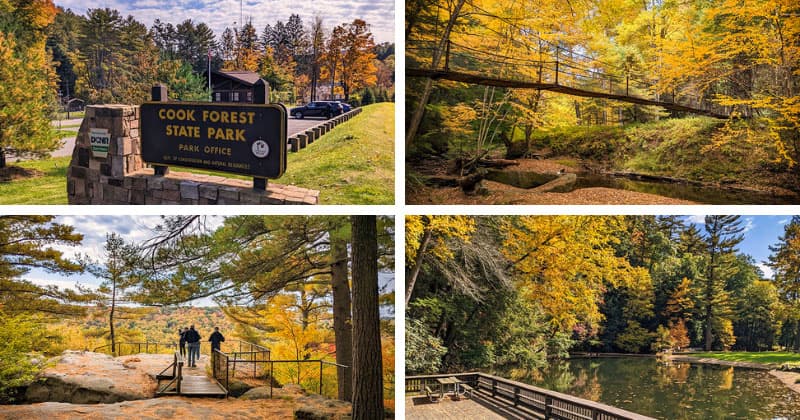 Clarion County 2022 Fall Foliage Update