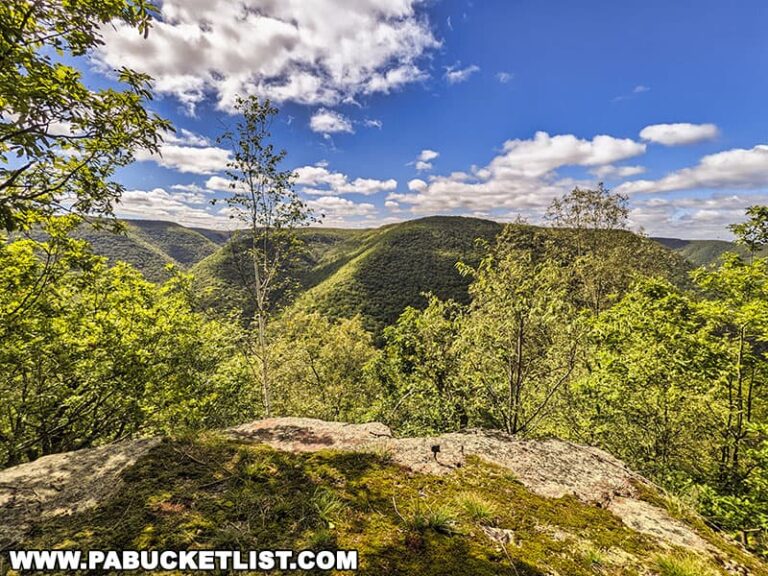 Exploring Sinnemahoning Canyon Vista in Cameron County