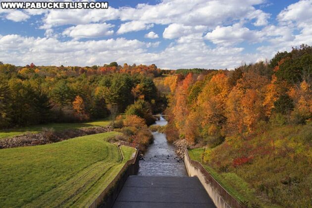 Cambria County 2022 Fall Foliage Update