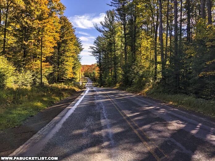 Potter County 2022 Fall Foliage Update