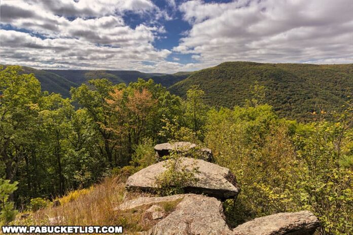 Exploring Sinnemahoning Canyon Vista in Cameron County