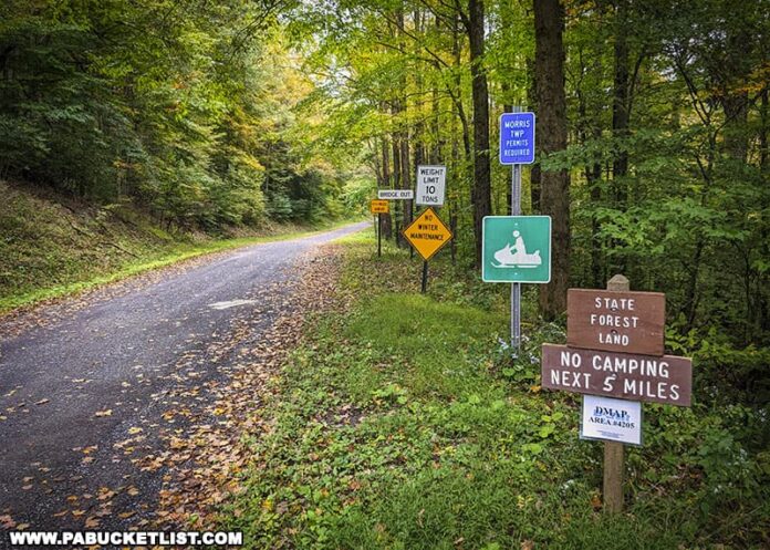 Exploring the Big Falls Swimming Hole in Tioga County