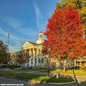 Tioga County 2022 Fall Foliage Update