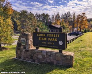 Exploring Cook Forest State Park in Northwestern PA