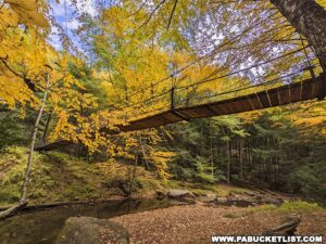 Exploring Cook Forest State Park in Northwestern PA