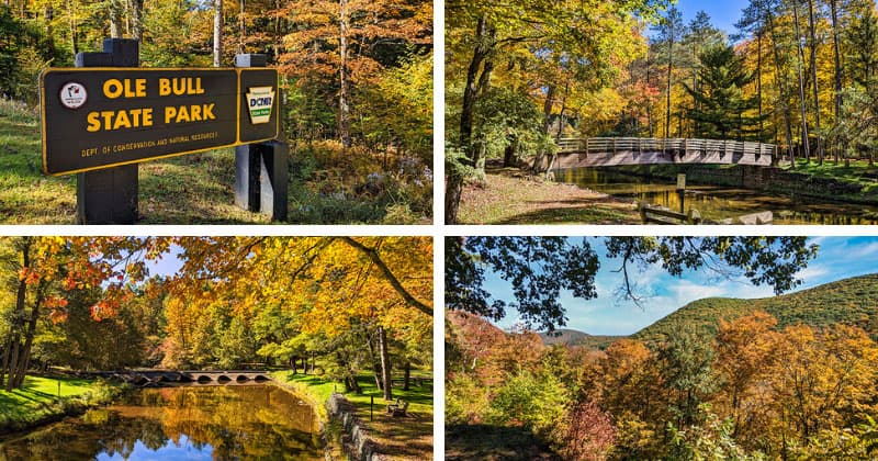 Exploring Ole Bull State Park in Potter County - PA Bucket List
