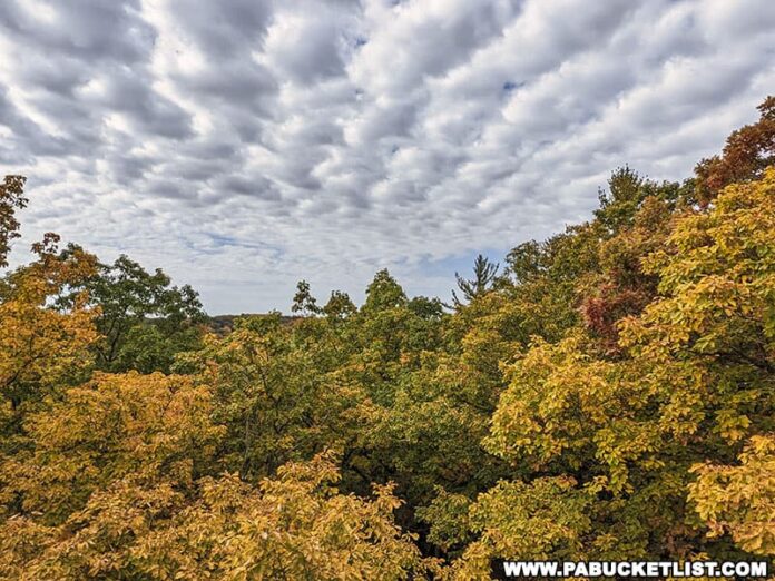 Exploring Cook Forest State Park in Northwestern PA