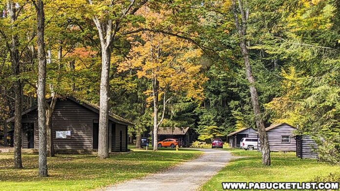 Exploring Cook Forest State Park in Northwestern PA