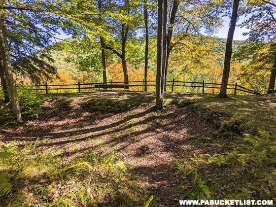 Exploring Ole Bull State Park in Potter County - PA Bucket List