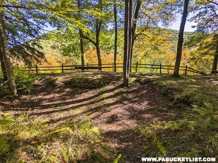 Exploring Ole Bull State Park in Potter County - PA Bucket List