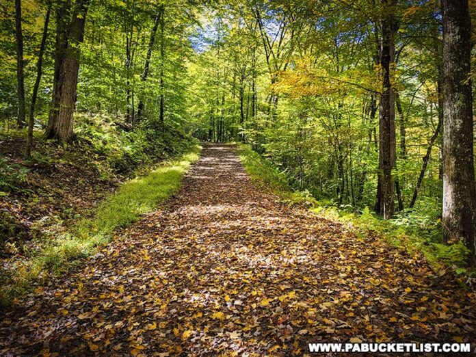 Exploring Ole Bull State Park in Potter County - PA Bucket List