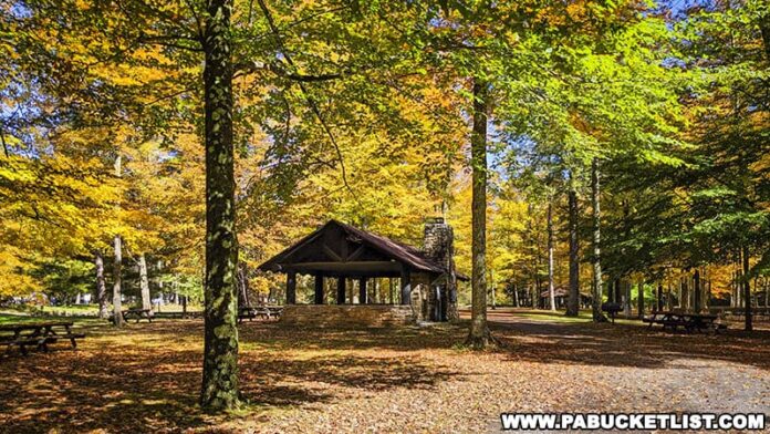Exploring Ole Bull State Park in Potter County - PA Bucket List