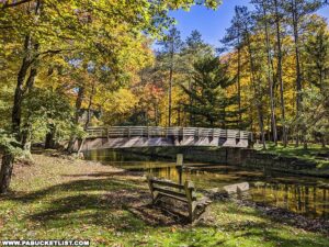 Exploring Ole Bull State Park in Potter County - PA Bucket List