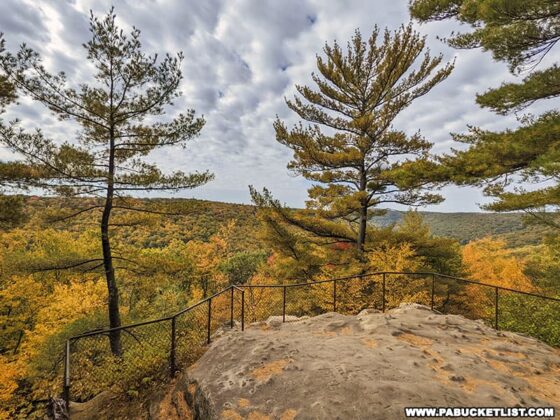 Exploring Cook Forest State Park in Northwestern PA