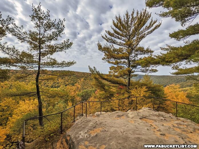 Exploring Cook Forest State Park in Northwestern PA