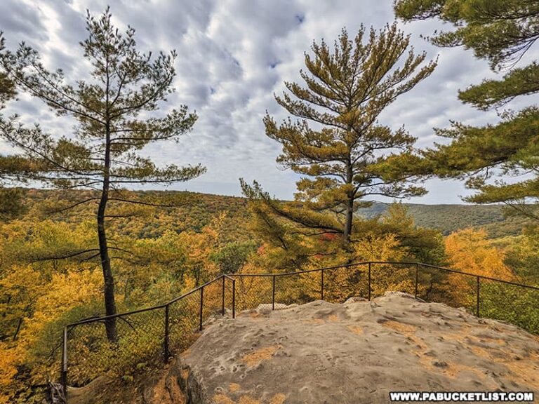Exploring Cook Forest State Park in Northwestern PA
