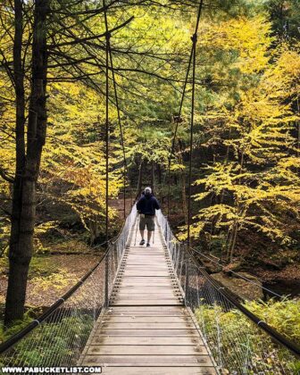 Exploring Cook Forest State Park in Northwestern PA