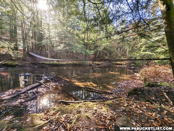 Hiking to the Clear Shade Creek Swinging Bridge
