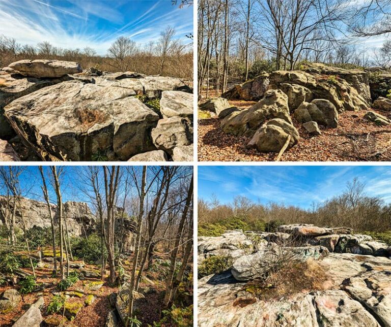 Exploring Wolf Rocks in the Gallitzin State Forest - PA Bucket List