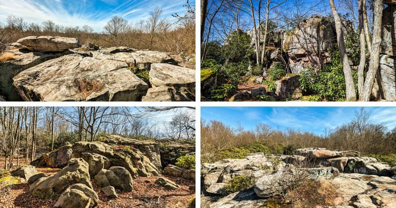 Exploring Wolf Rocks in the Gallitzin State Forest - PA Bucket List