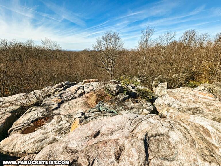 Exploring Wolf Rocks in the Gallitzin State Forest - PA Bucket List