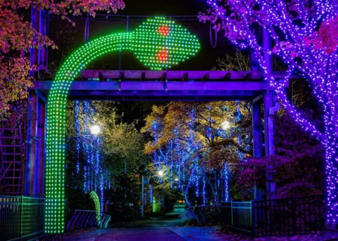 17 of the Best Walk-Thru Christmas Light Displays in PA