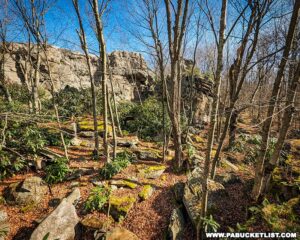 Exploring Wolf Rocks in the Gallitzin State Forest - PA Bucket List