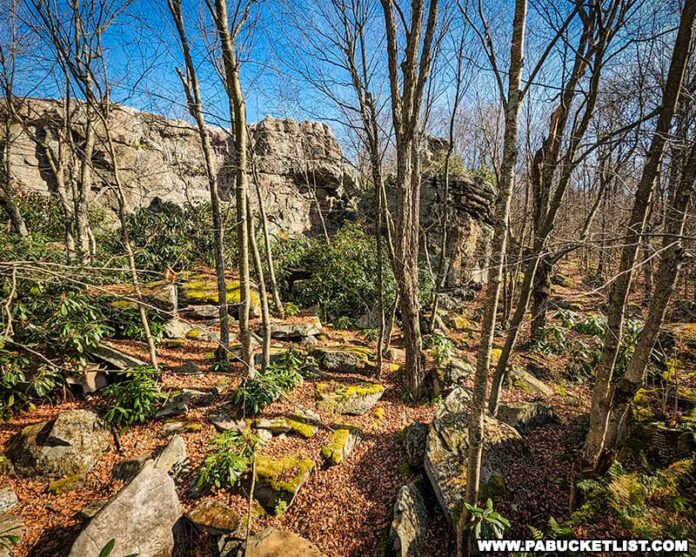 Exploring Wolf Rocks in the Gallitzin State Forest - PA Bucket List