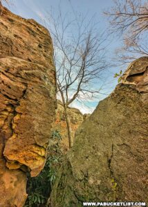 Exploring Wolf Rocks in the Gallitzin State Forest - PA Bucket List