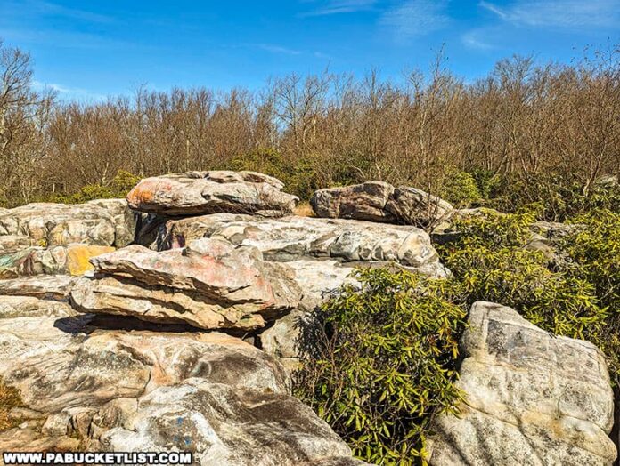 Exploring Wolf Rocks in the Gallitzin State Forest - PA Bucket List