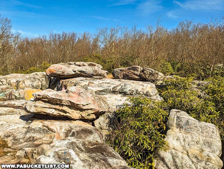 Exploring Wolf Rocks in the Gallitzin State Forest - PA Bucket List