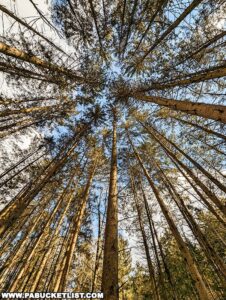 Hiking Hobie's Trail at Colyer Lake Near State College