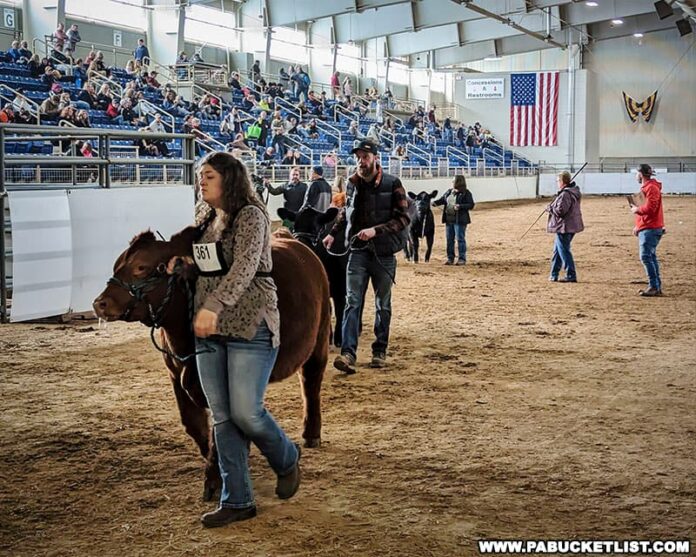 Exploring the Pennsylvania Farm Show in Harrisburg