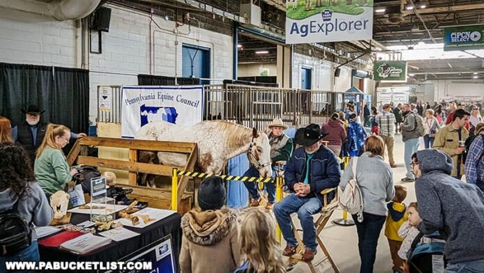 Exploring the Pennsylvania Farm Show in Harrisburg