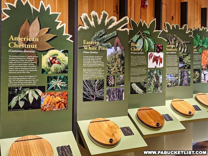 Exploring the Pennsylvania Lumber Museum in Potter County