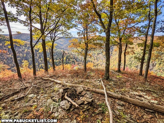 Exploring Boggs Run Vista in Clinton County - PA Bucket List