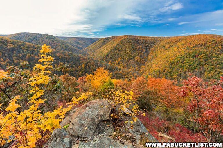 Exploring Boggs Run Vista in Clinton County - PA Bucket List